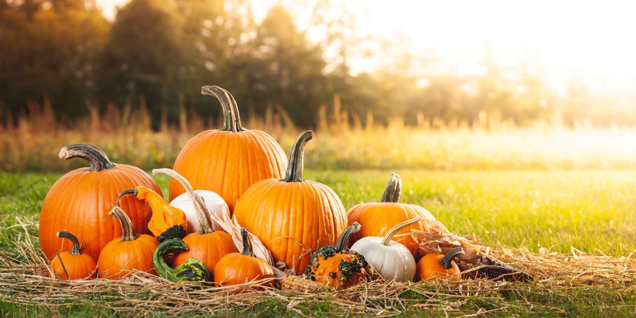 Pumpkin Spice isn't so nice. - VidAngel Blog